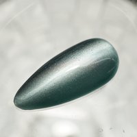 オールシーズン/ハンド/ワンカラー/マグネット/大人 - Sofirah(ソフィラ)公式のネイルデザイン[No.9277378]｜ネイルブック